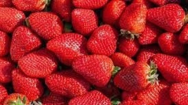 Marché de gros : les fraises vendues exclusivement aux commerçants ...